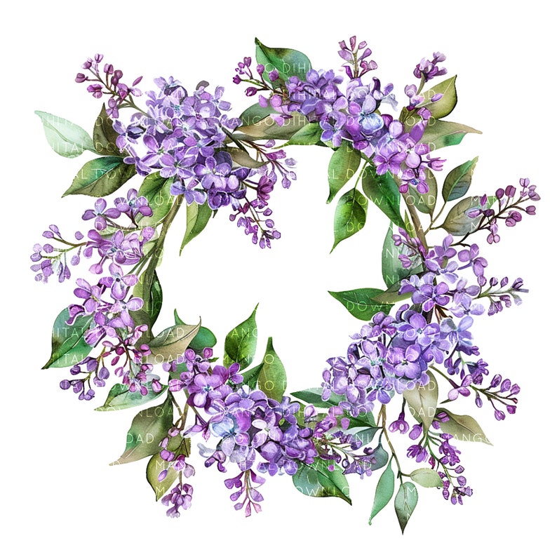 Watercolor Lilac Clip Art 12 PNG/JPG White and Purple Lilac Clipart ...