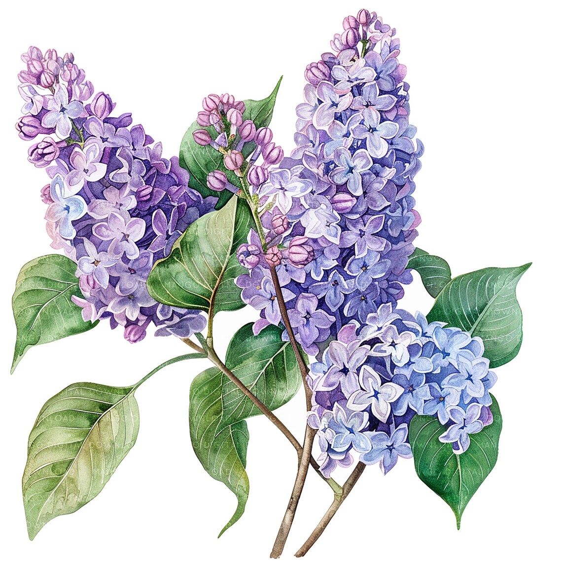 12 PNG/JPG Lilac Floral Clipart Bundle Flowers Clipart Spring Decor ...