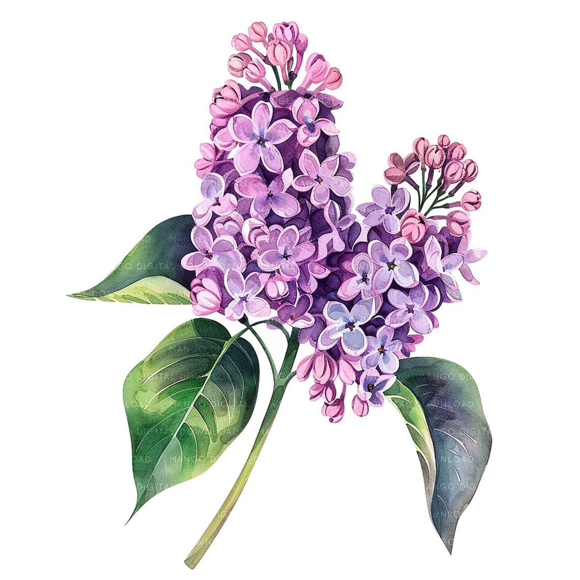 12 PNG/JPG Lilac Floral Clipart Bundle Flowers Clipart Spring Decor ...
