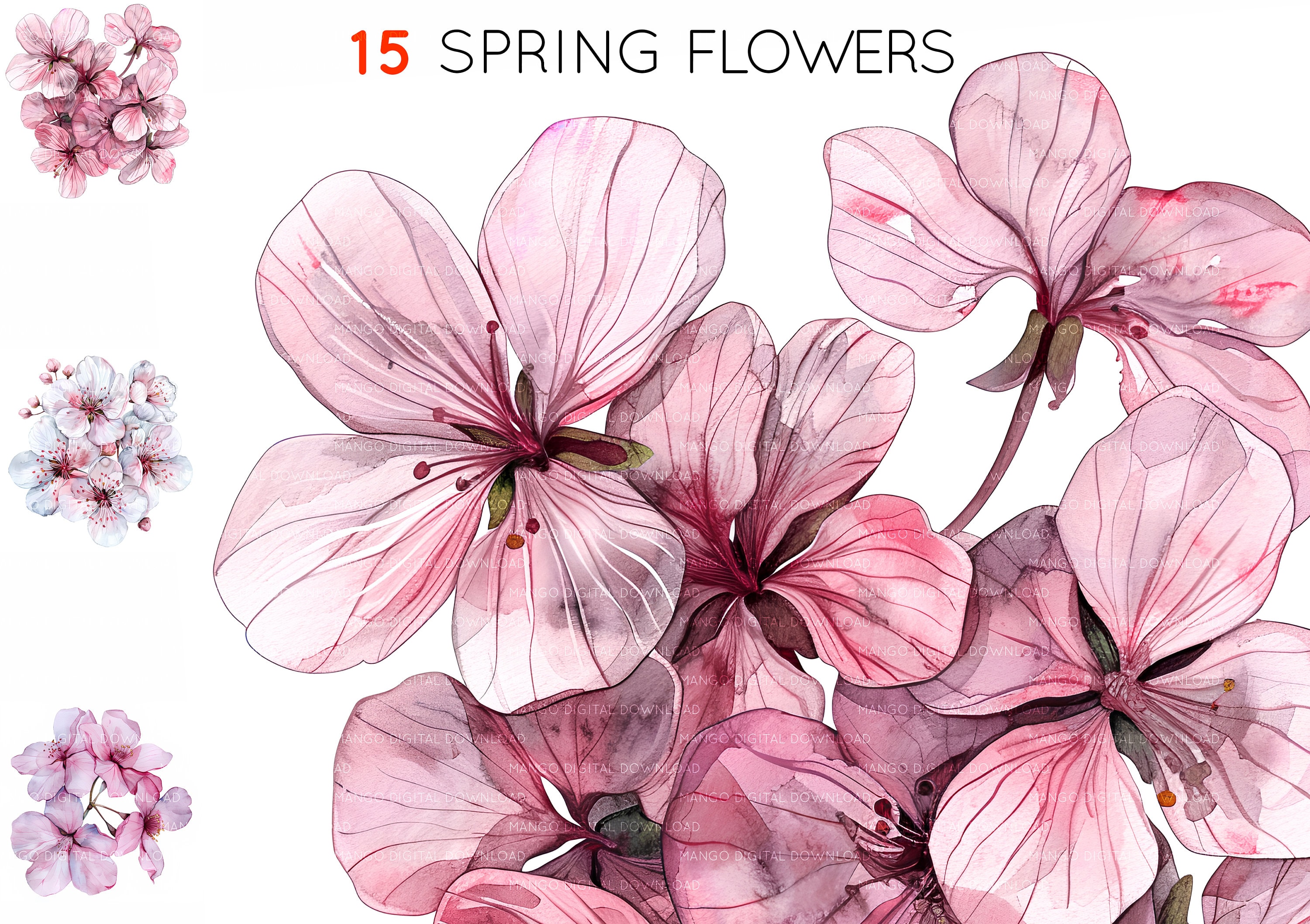 Flowers Clipart Bundle Spring Flowers Floral Clipart Sakura 15 High ...