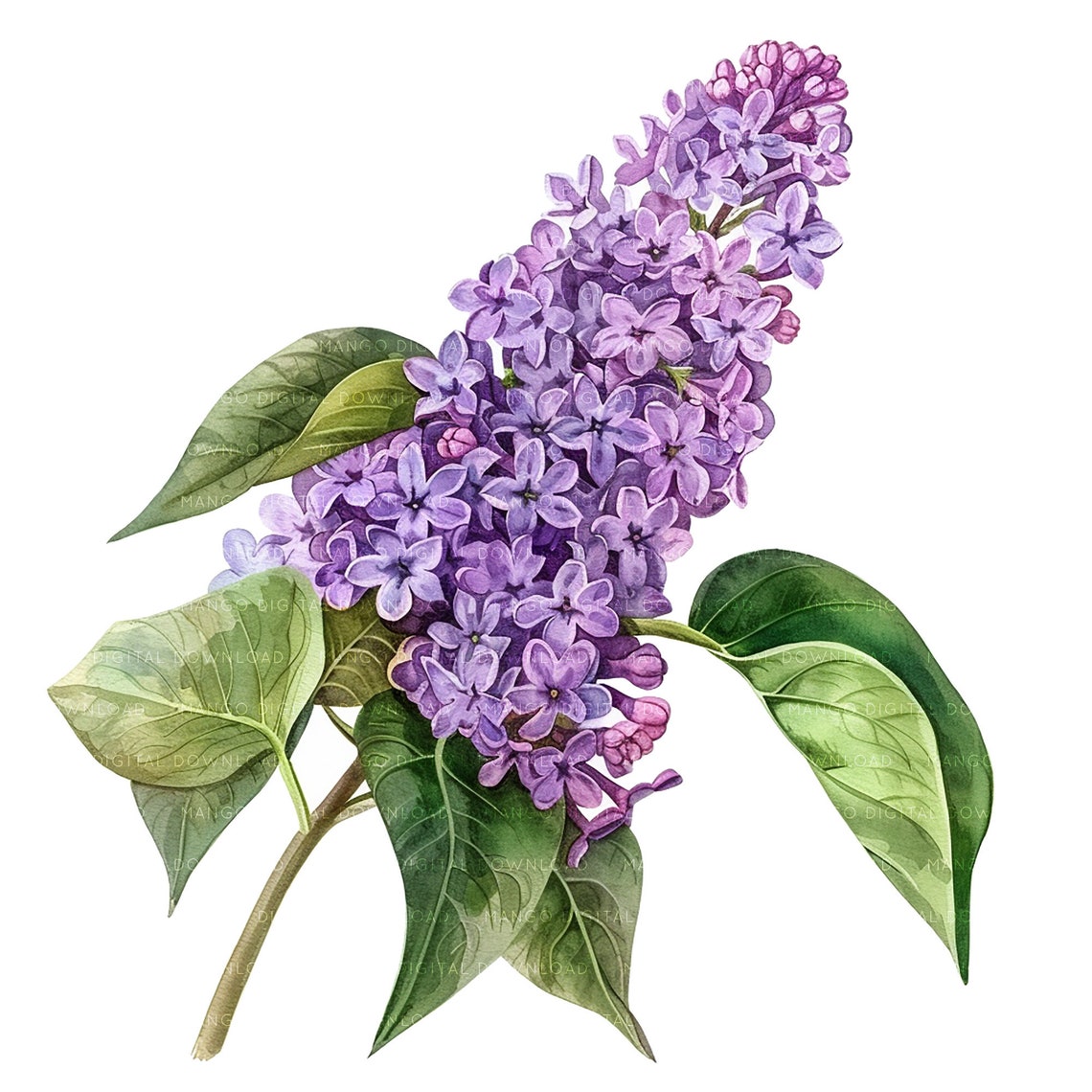 12 PNG/JPG Lilac Floral Clipart Bundle Flowers Clipart Spring Decor ...