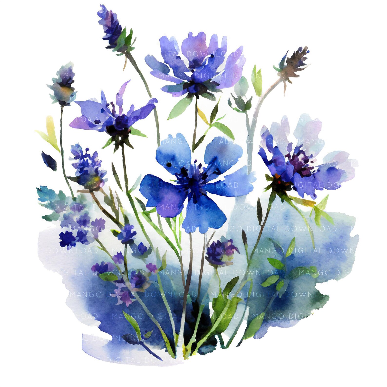 12 PNG/JPG Wildflowers Clipart Bundle Floral Clipart Spring Decor ...