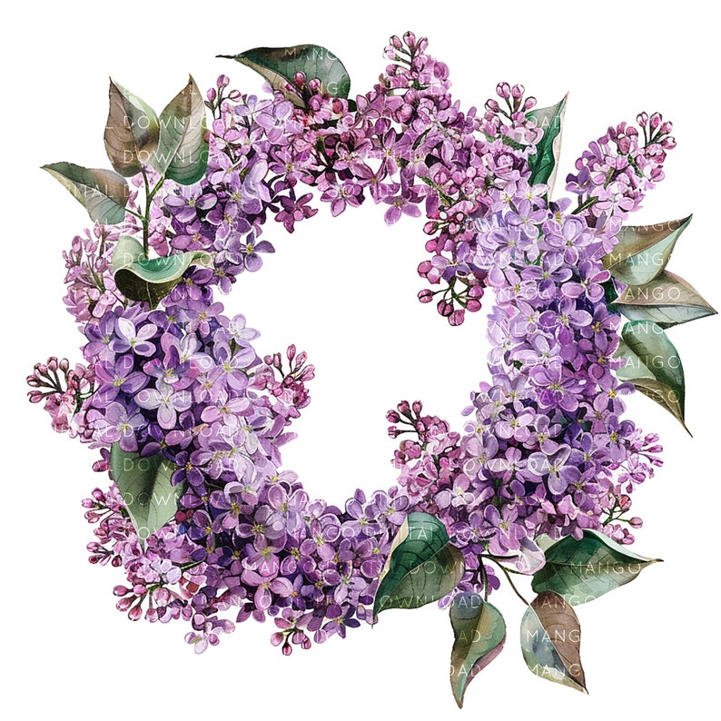 Watercolor Lilac Clip Art 12 PNG/JPG White and Purple Lilac Clipart ...
