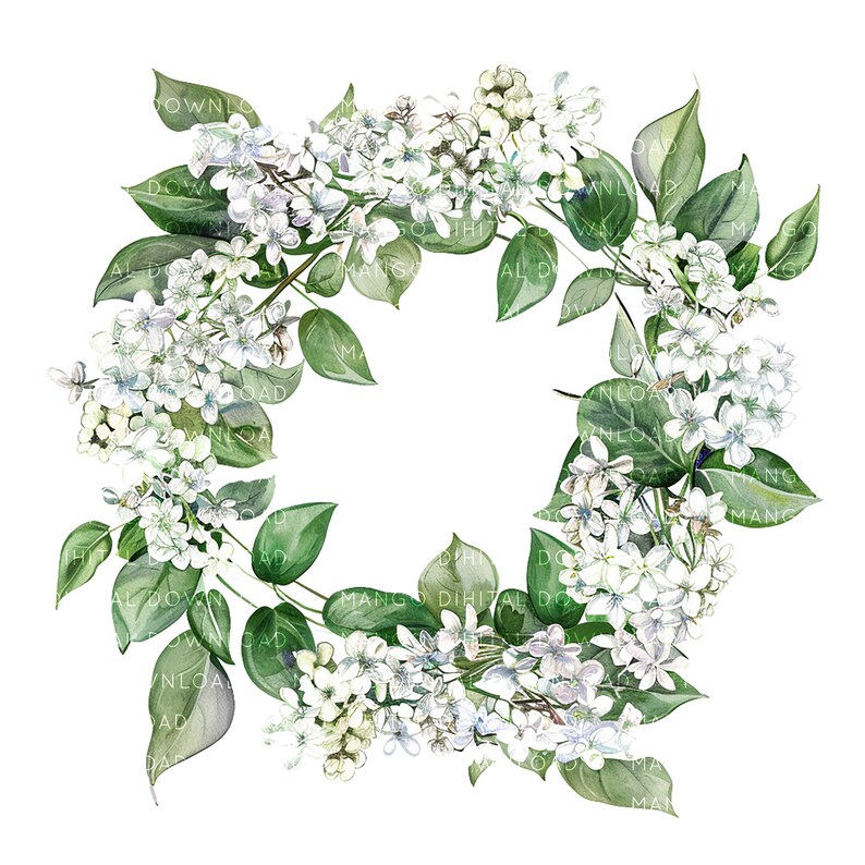 Watercolor Lilac Clip Art 12 PNG/JPG White and Purple Lilac Clipart ...