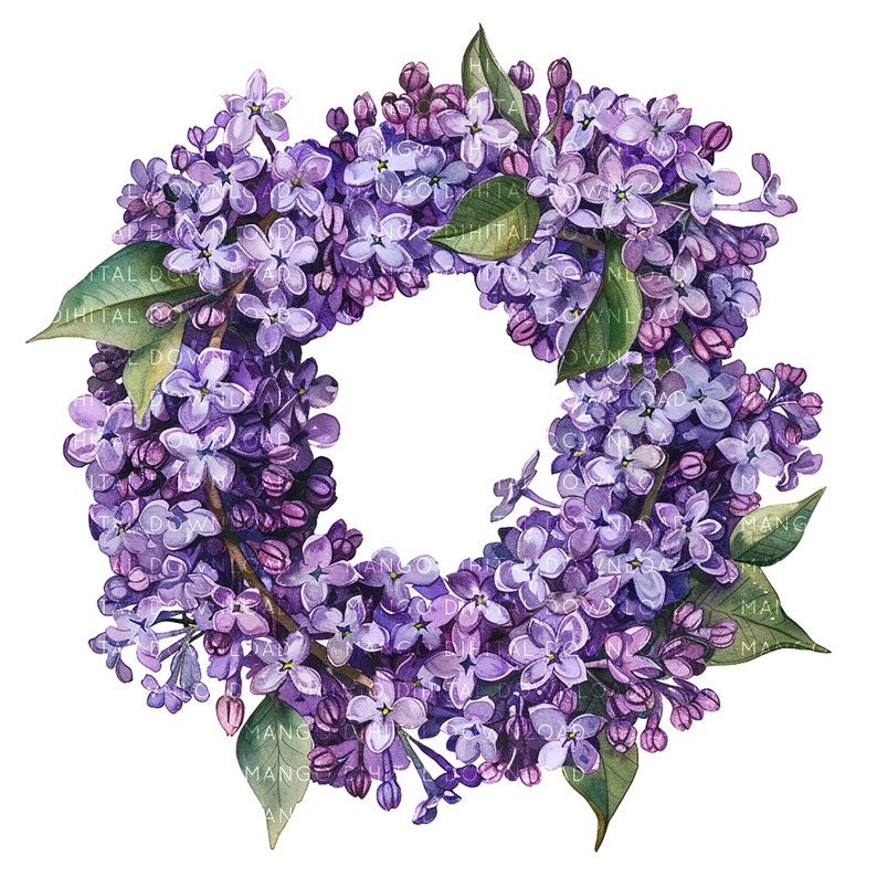 Watercolor Lilac Clip Art 12 PNG/JPG White and Purple Lilac Clipart ...