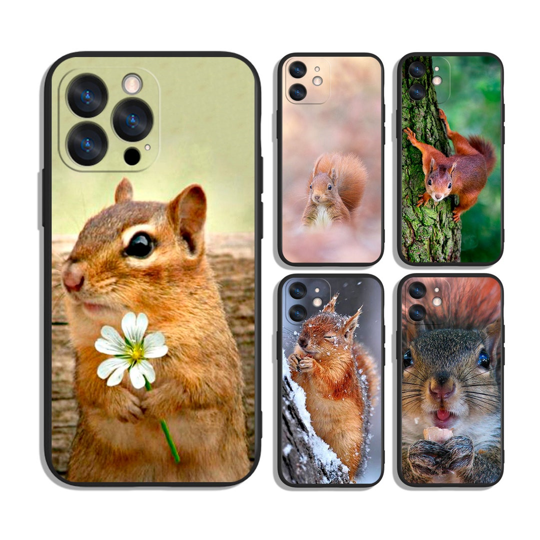 Funny Squirrel Protective Cases for Samsung S25 S24 S23 S22 A55 A25 A15 ...