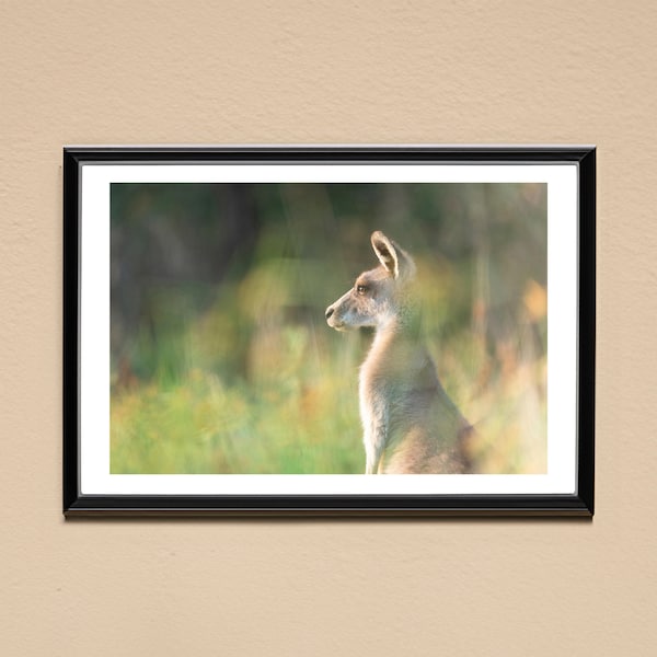 Kangaroo Print - Etsy Australia