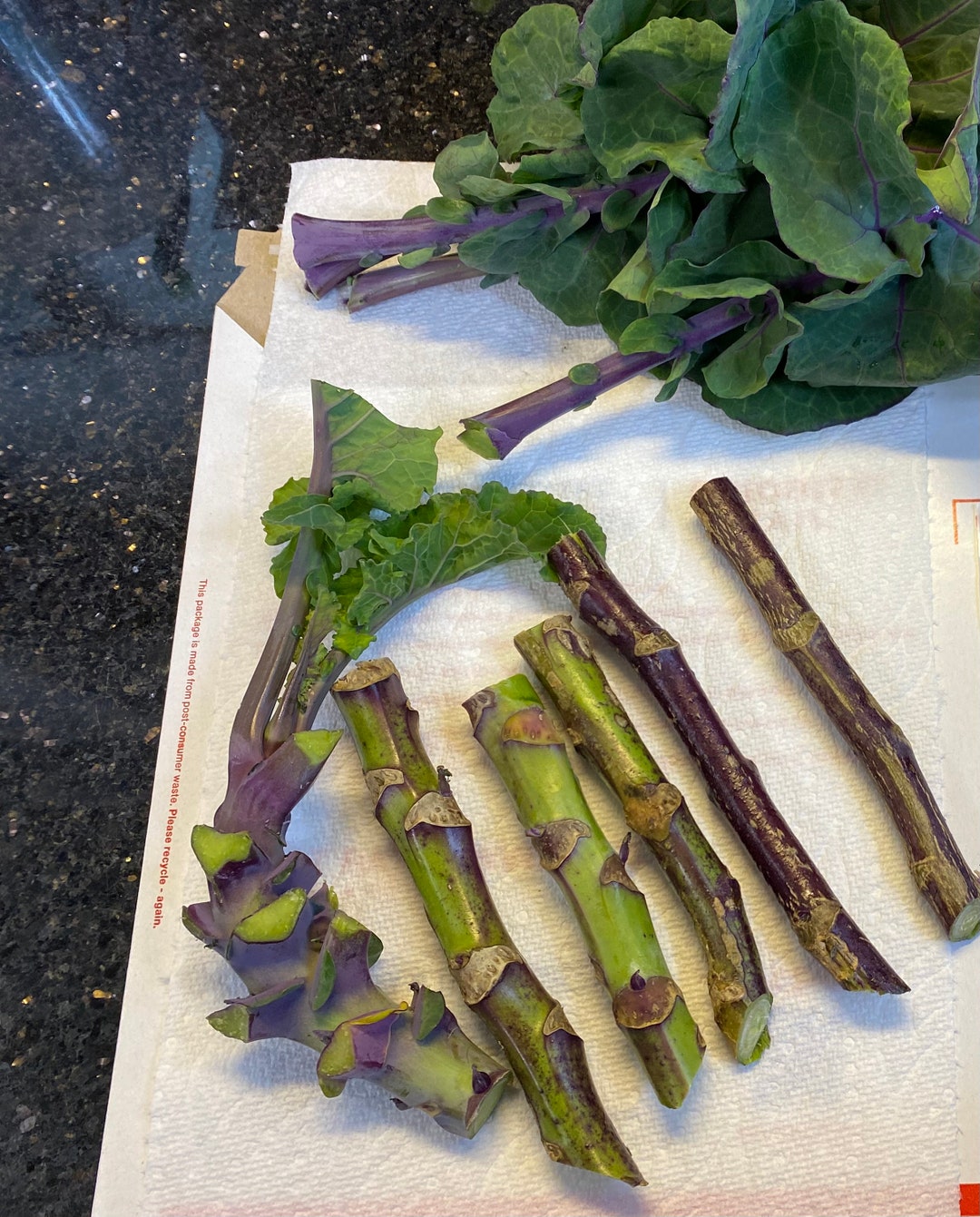 3 Purple Tree Collard Fresh Cuttings for Propagation - Etsy