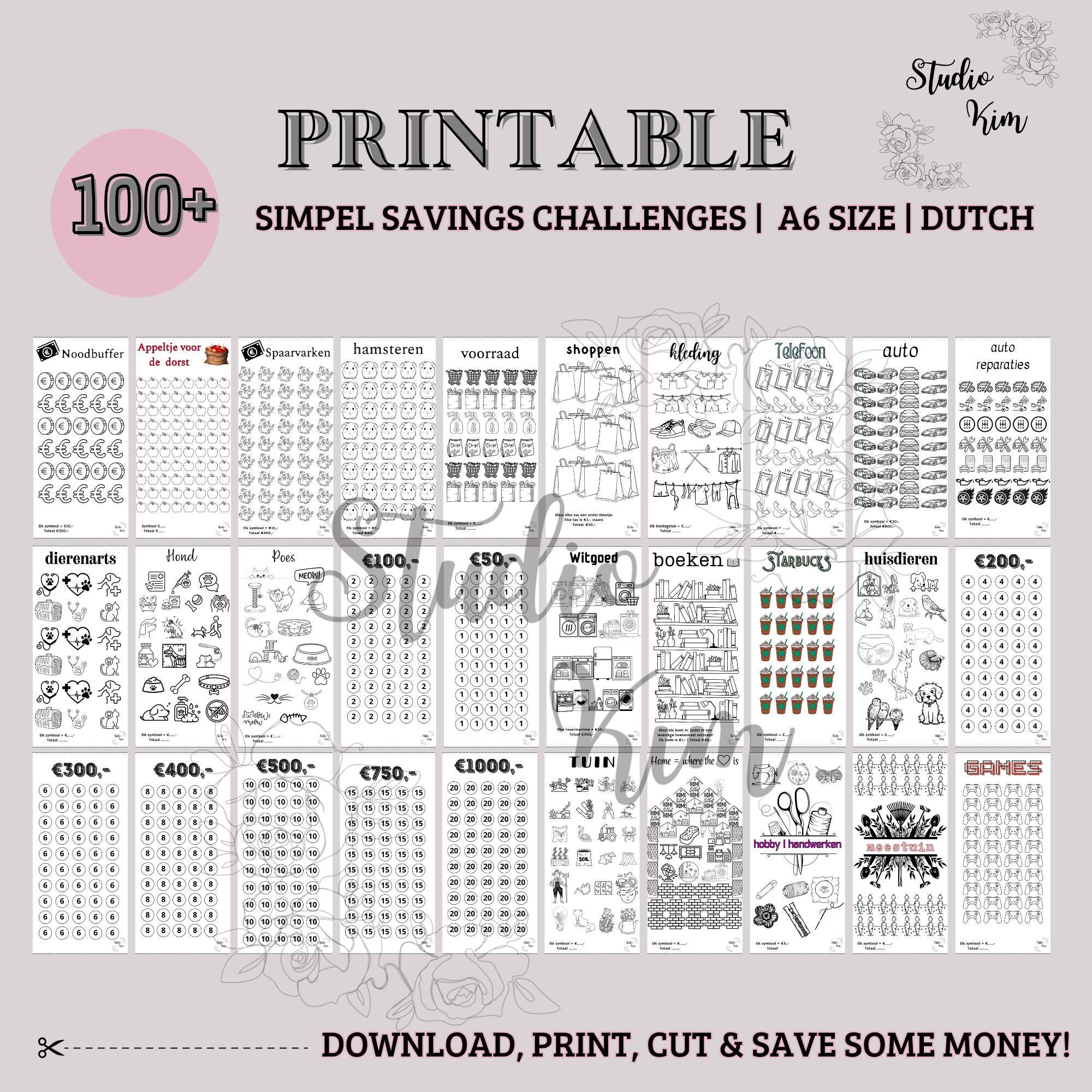 100+ savings challenges | dutch | cash stuffing | simpel challenges b&w ...