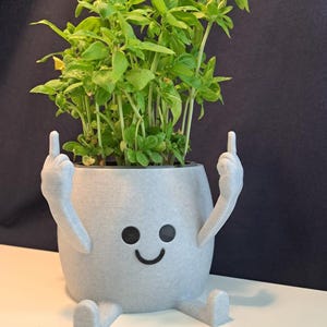 3D Printed Middle Finger Pot - Etsy