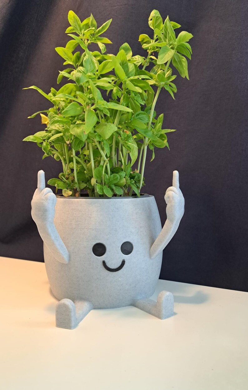 3D Printed Middle Finger Pot - Etsy Australia