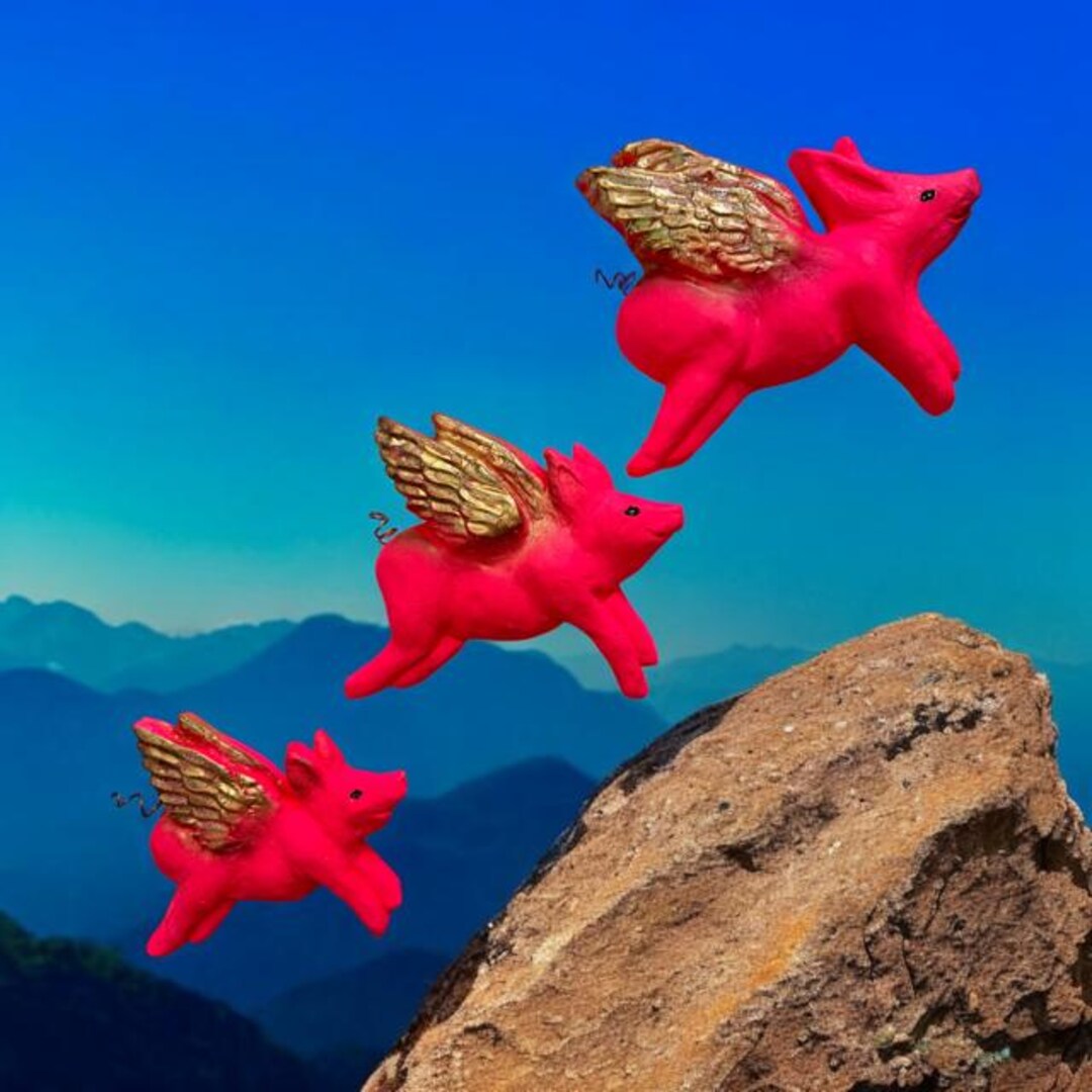 Design Your Own Flying Pigs Wall Art, Quirky Home Decoration, Three ...