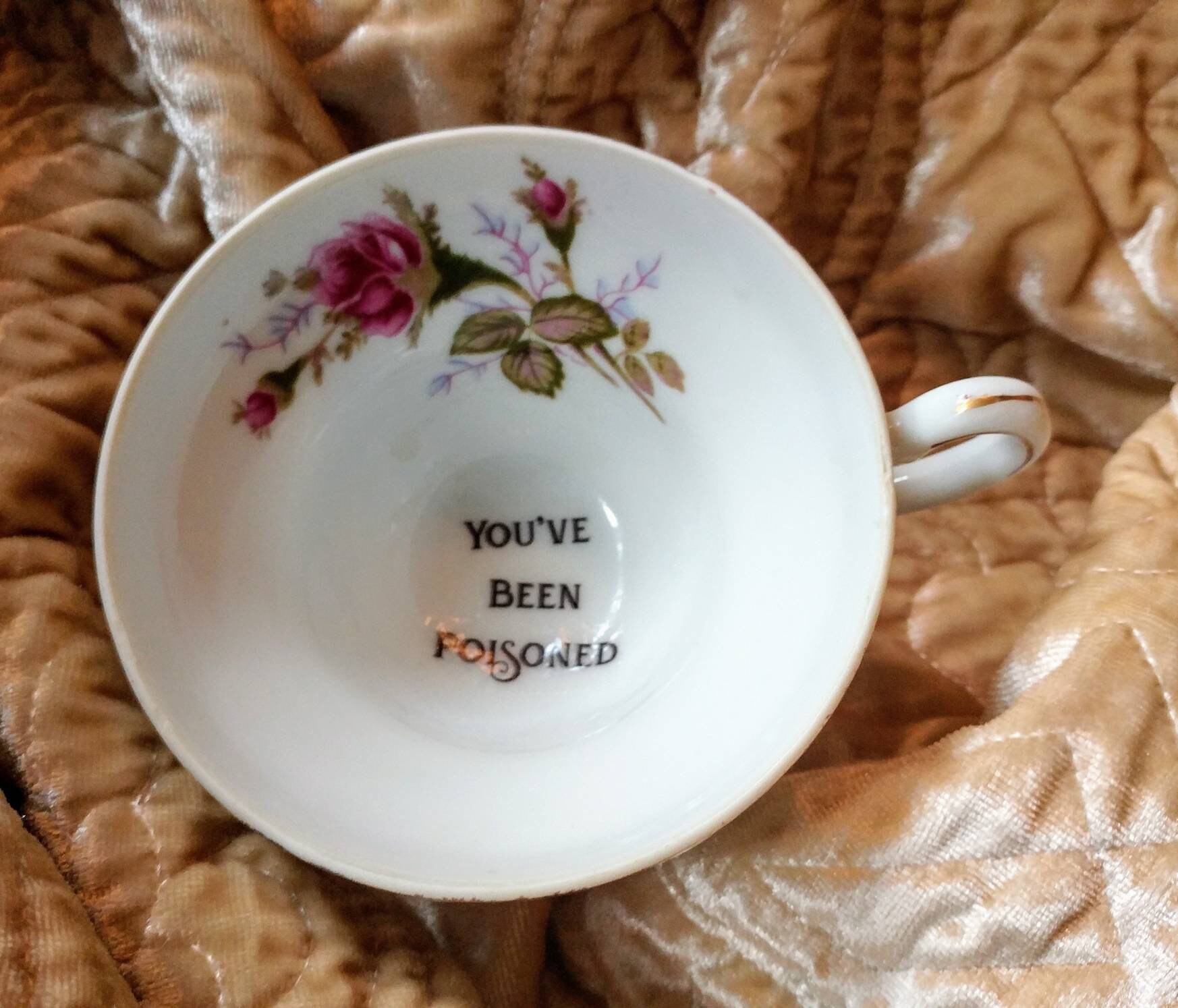 You've Been Poisoned Bye Tea Cup and Saucer Altered China Teacup Gift ...