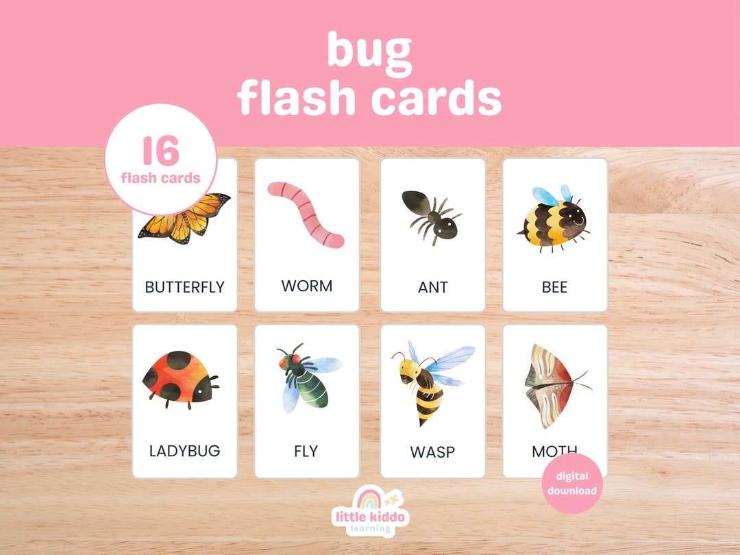 16 Bug Cards | Montessori Flashcards | Pre-school Cards | Educational ...