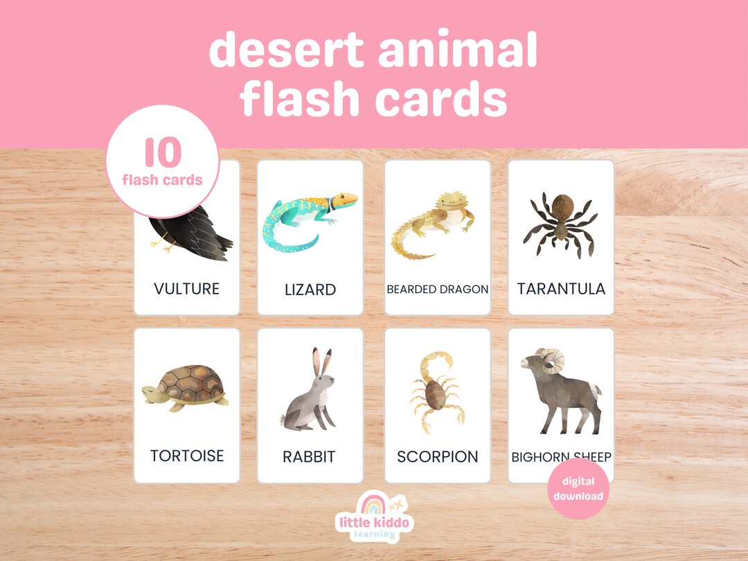 10 Desert Animal Cards | Montessori Flashcards | Pre-school Cards ...