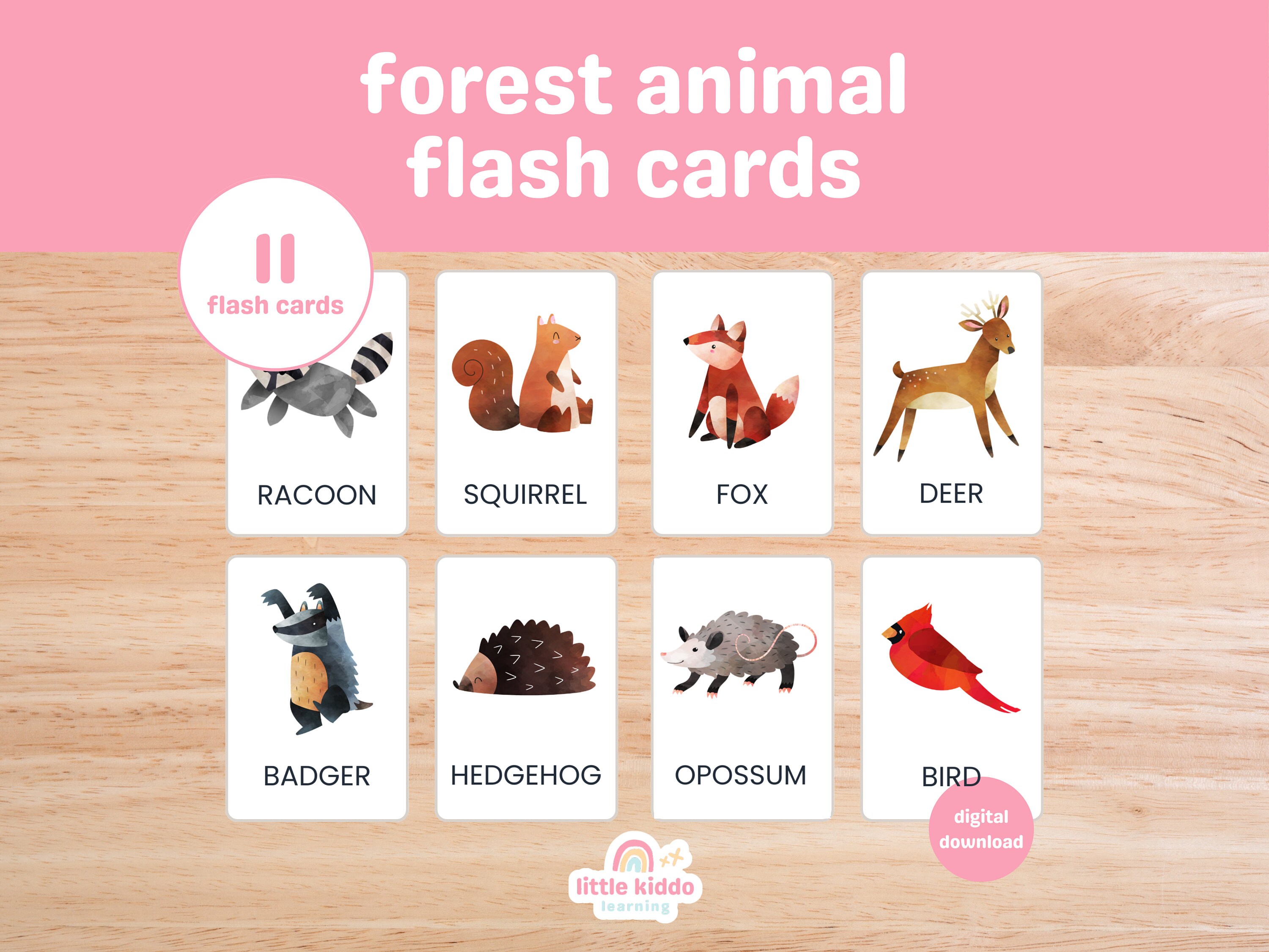 11 Forest Animal Cards | Montessori Flashcards | Pre-school Cards ...