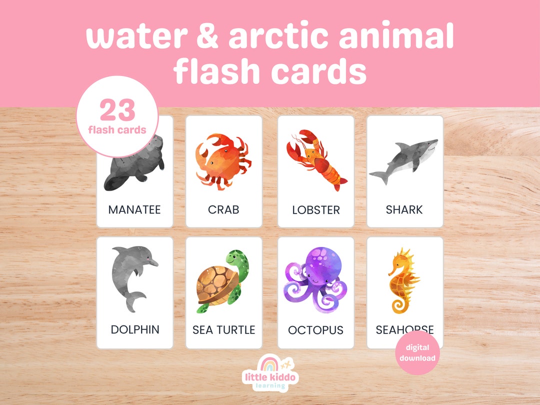 23 Ocean & Arctic Animal Cards | Montessori Flashcards | Pre-school ...