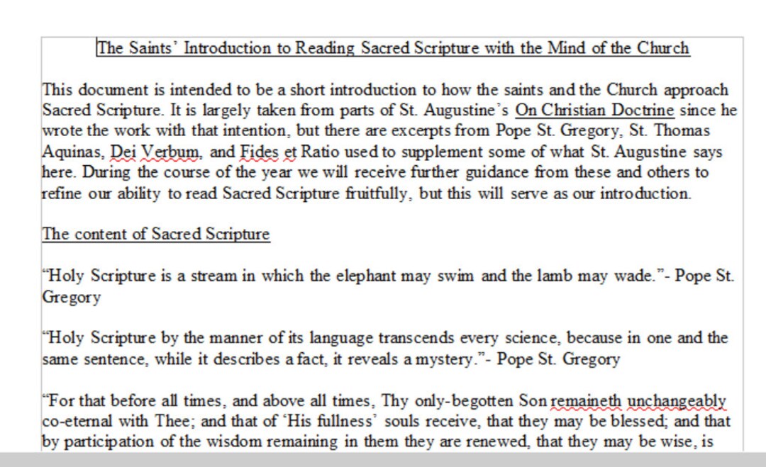 Introduction to Sacred Scripture Class - Etsy