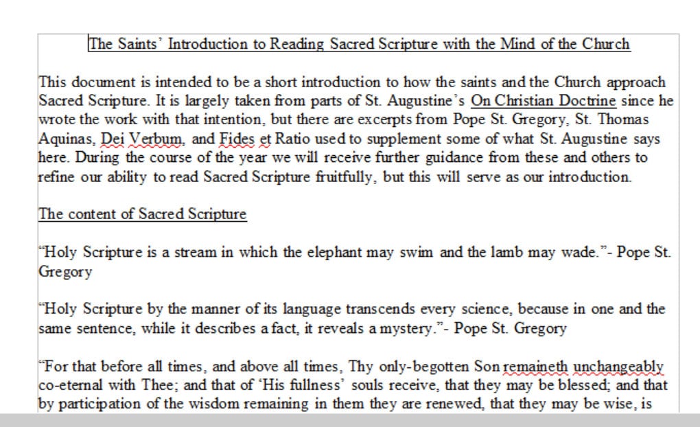 Introduction to Sacred Scripture Class - Etsy