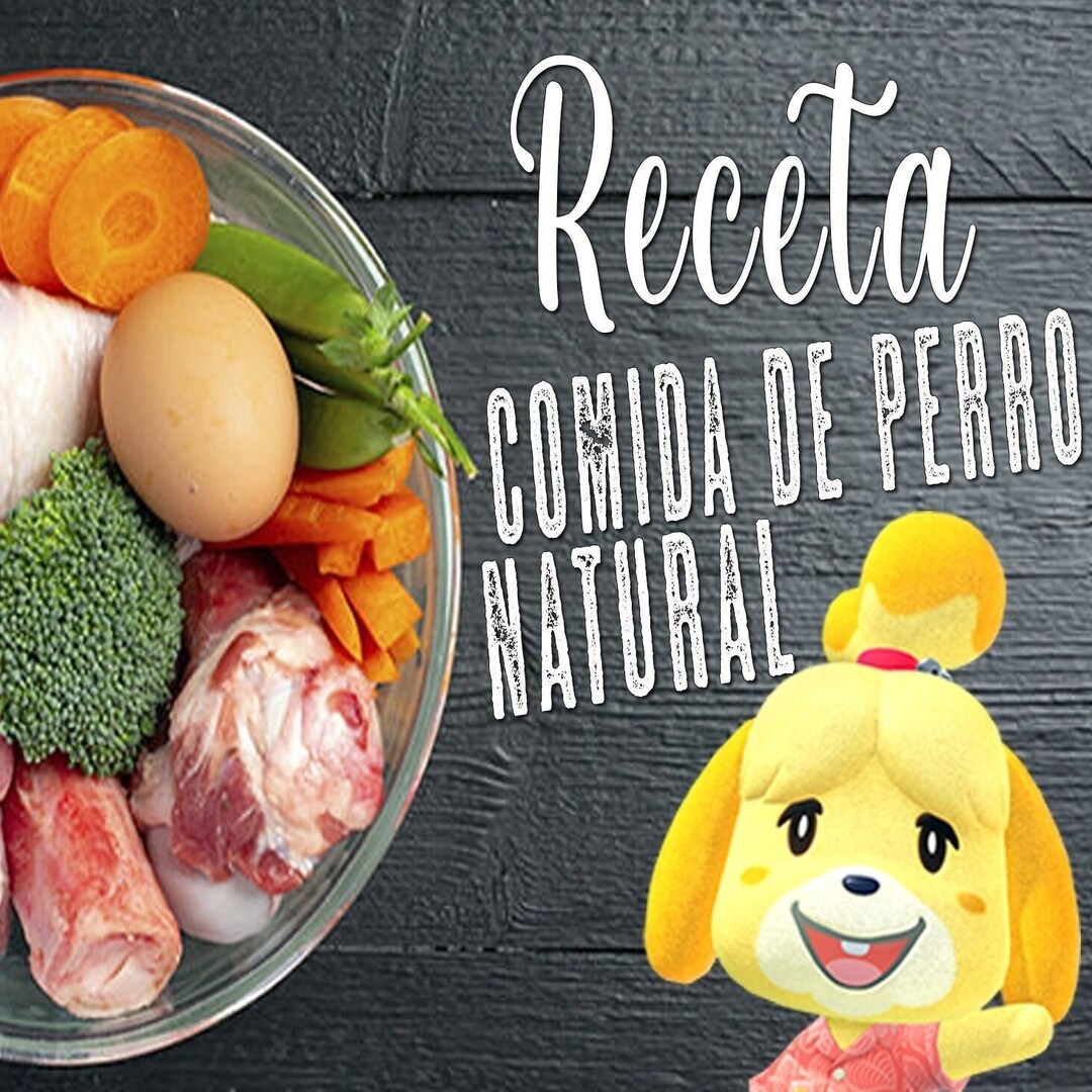 Custom Dog Food Recipe - Etsy