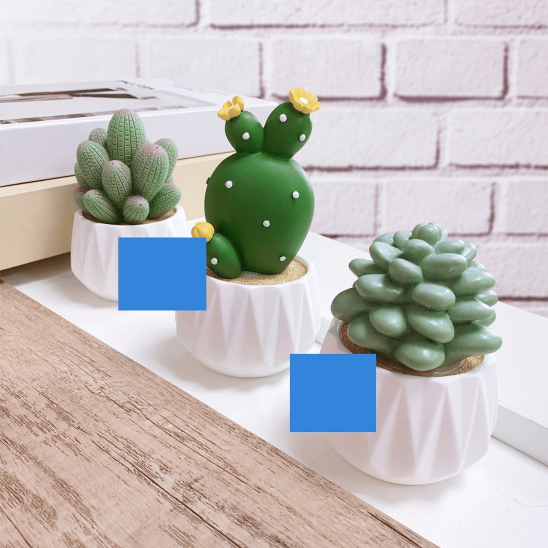 Set of Dragon and Cactus Models, Cute Tiny Stone Lotus Mini Landscapes ...