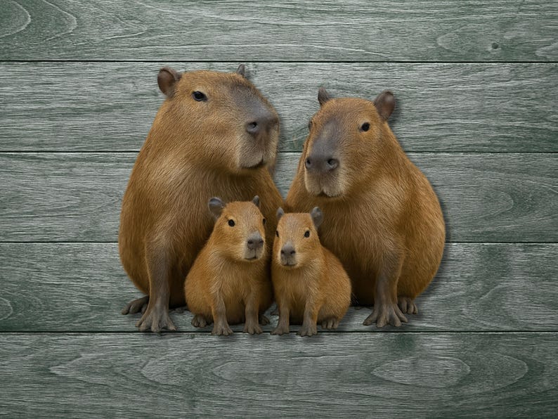 Capybara Family Kiss-cut Stickers, Animal Sticker Set, Cute Laptop Decals, Nature Wildlife ...