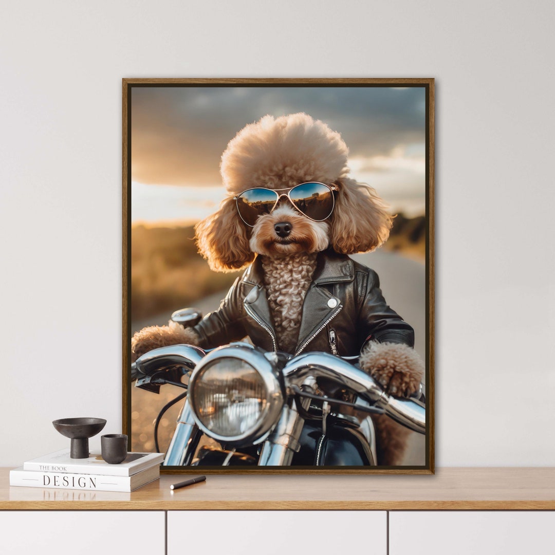 Poodle on Motorcycle, AI Generated, Motorcycle, Harley, Sunset, Route ...