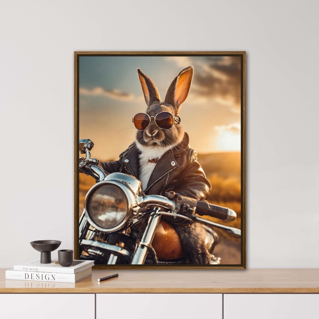 Rabbit on Motorcycle, AI Generated, Motorcycle, Harley, Sunset, Route ...