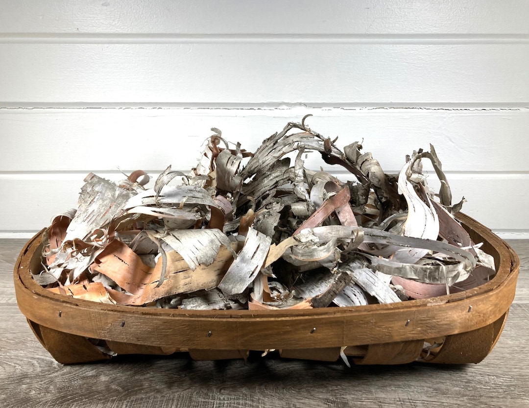 Various Sized Scrap Pieces of White Birch Bark for Craft Projects or ...