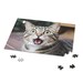 Funny Cat Surprised Meme, Puzzle Games for Creative Family Activities ...
