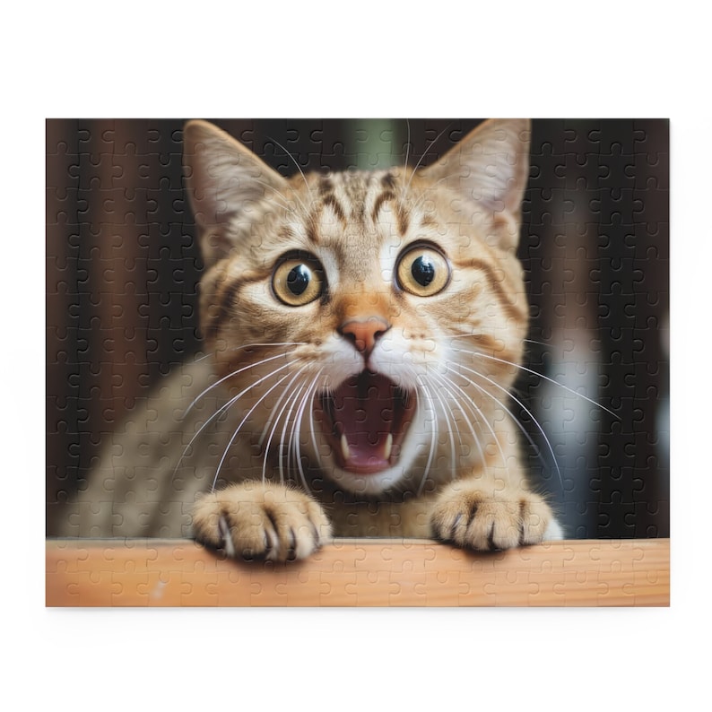 Funny Cat Surprised Meme, Puzzle Games for Creative Family Activities ...