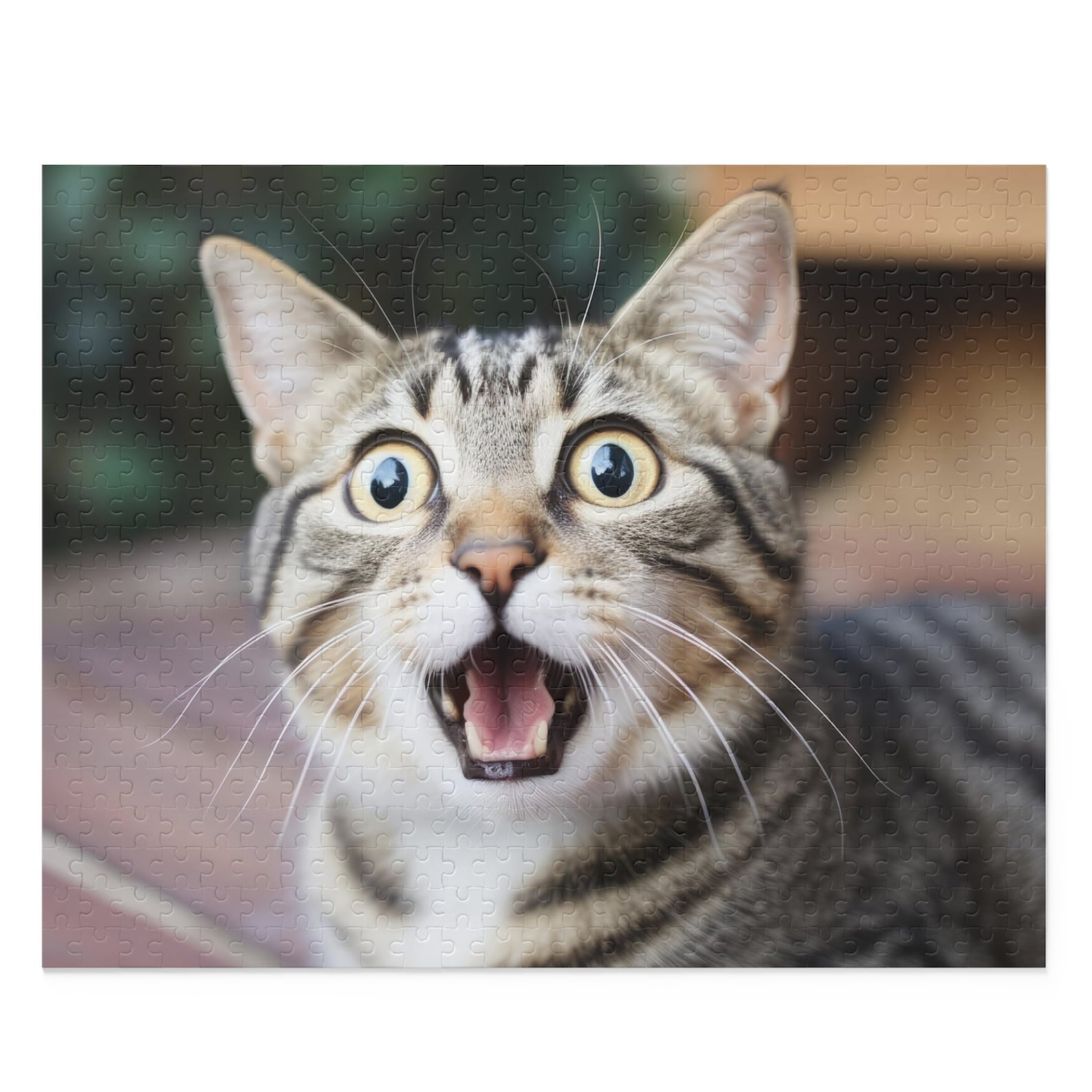 Funny Cat Surprised Meme, Puzzle Games for Creative Family Activities ...