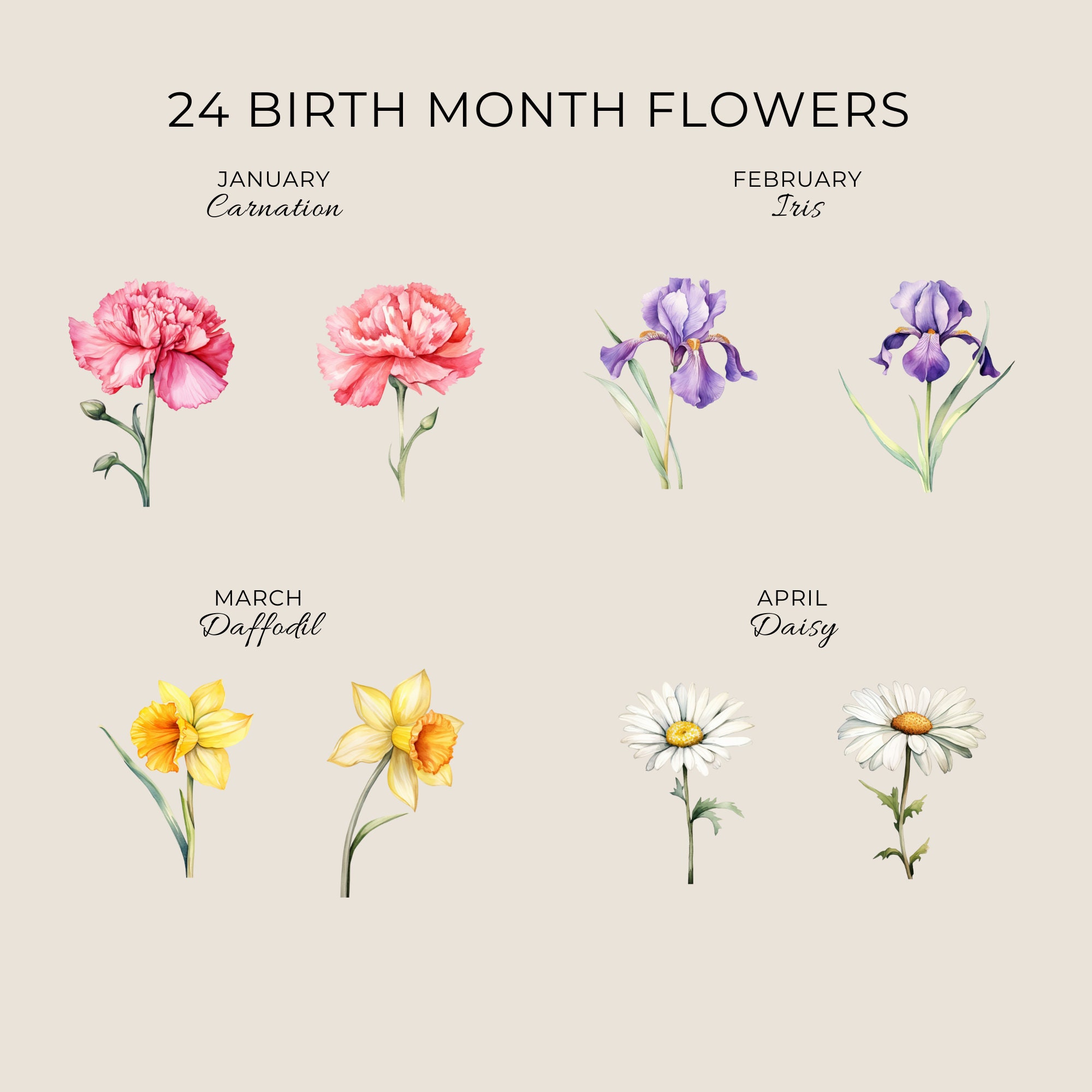 Birth Month Flowers Clipart - Watercolor Floral PNG Graphics - DIY ...