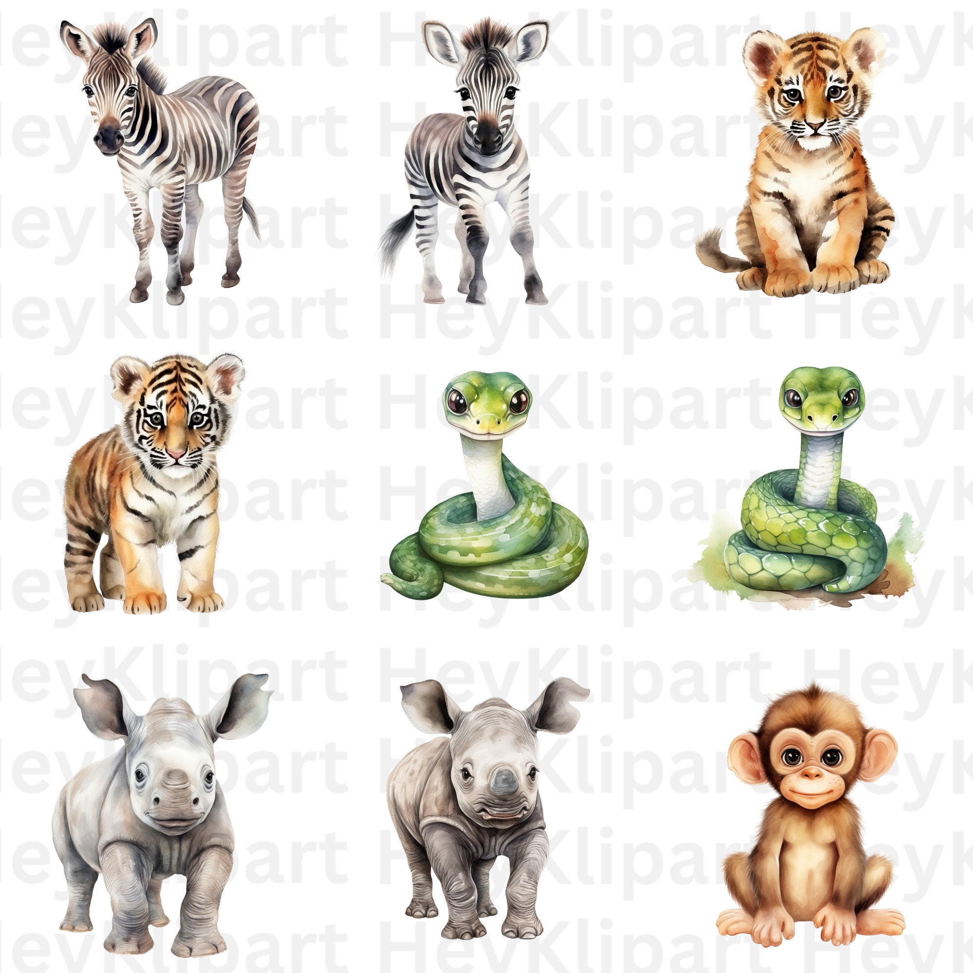 Safari Animals Clipart Watercolor, Cute Jungle Animals Clipart, Safari ...