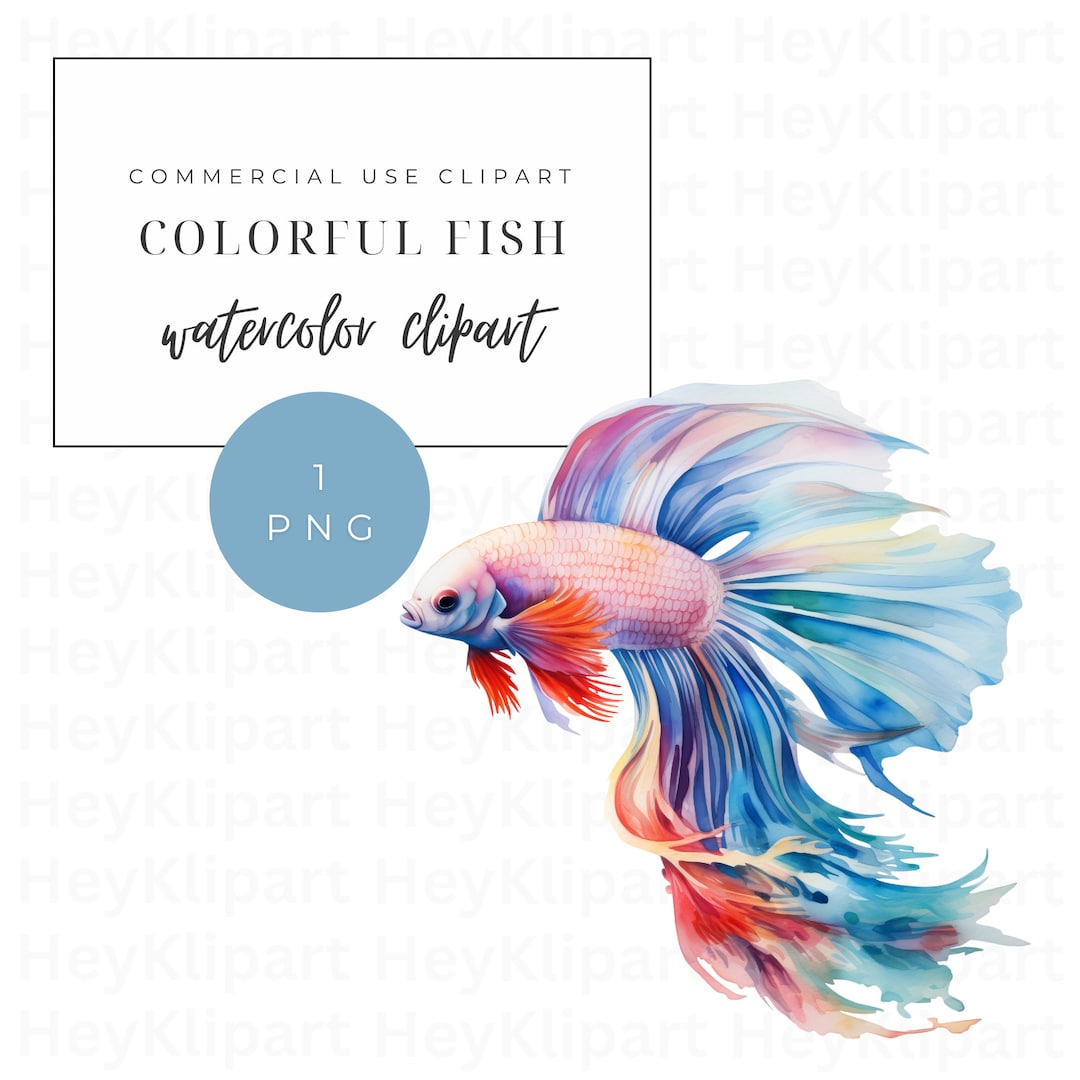 Watercolor Betta Fish Clipart - 1 Single High Quality PNG Image ...
