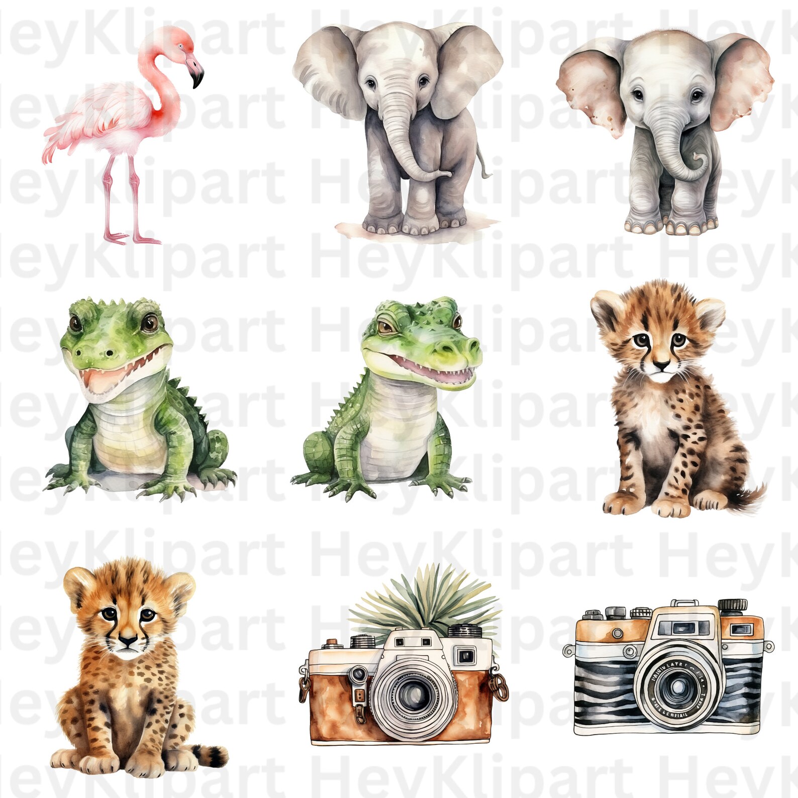 Safari Animals Clipart Watercolor, Cute Jungle Animals Clipart, Safari ...
