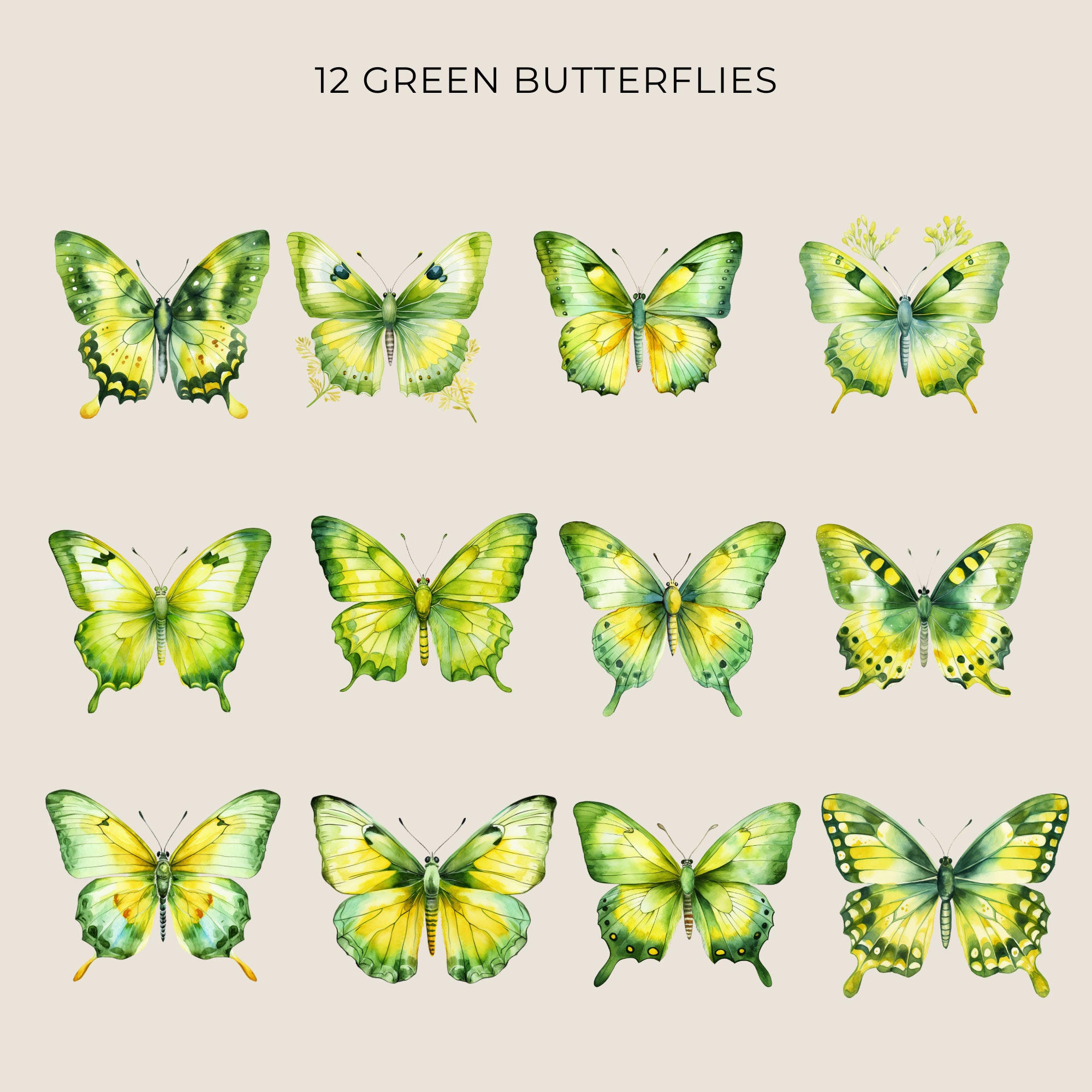 Watercolor Green Butterfly Clipart: Transparent PNG Graphics ...