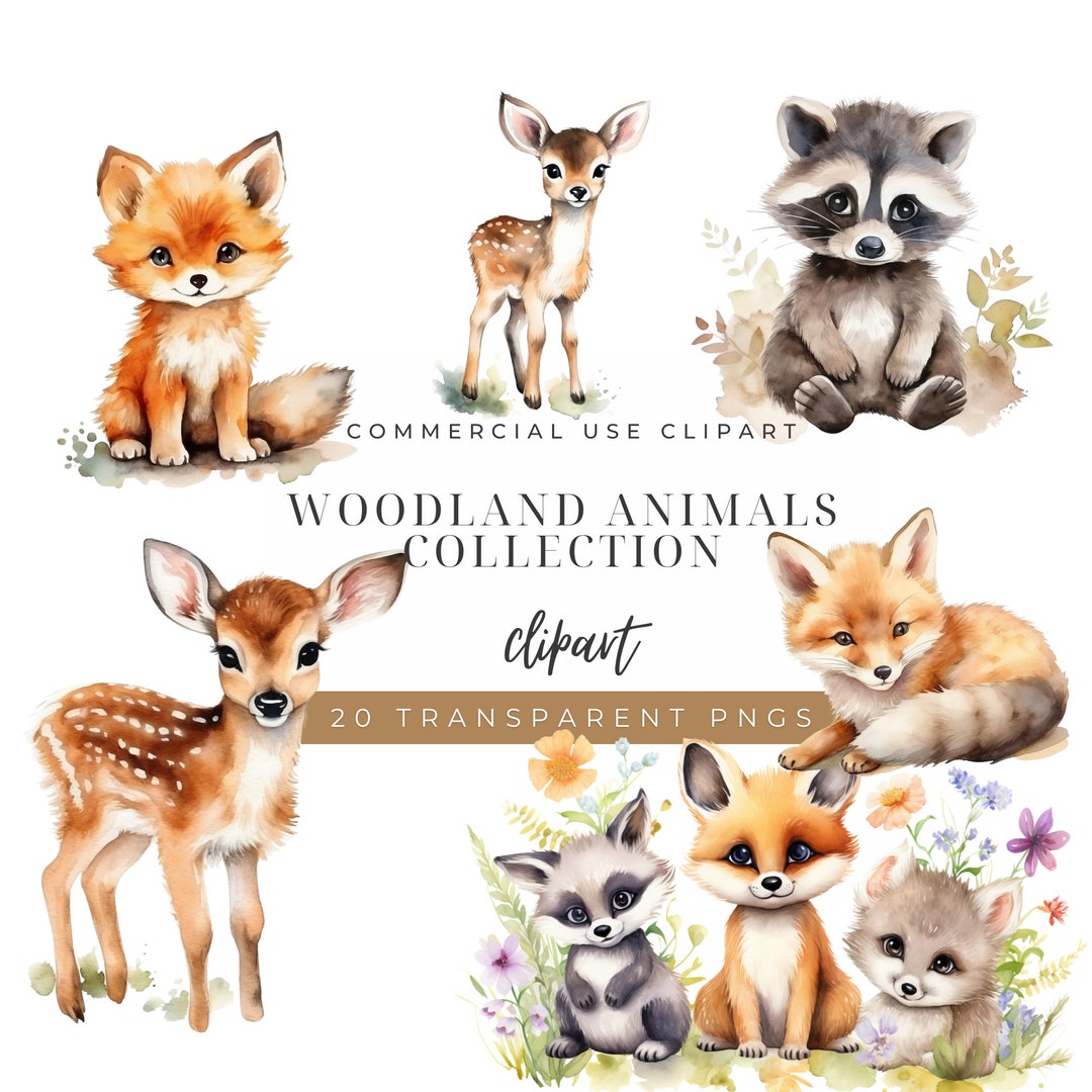 Woodland Animals Watercolor Clipart, Forest Animals Clipart, Cute ...