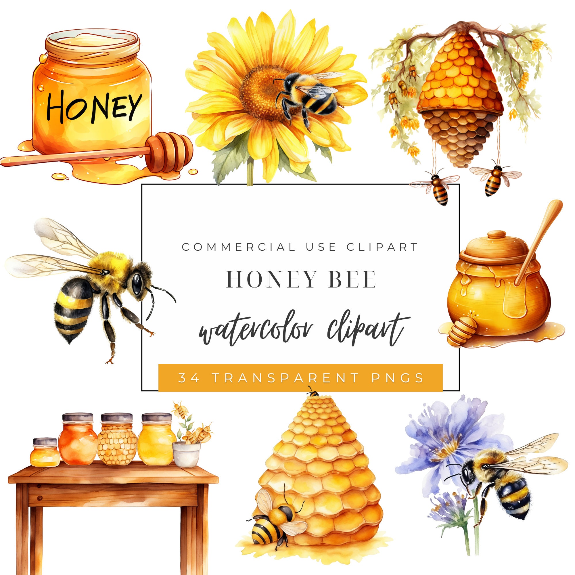 Honey Clipart Bundle Bumble Bee and Honeybee Watercolor Pngs Spring ...