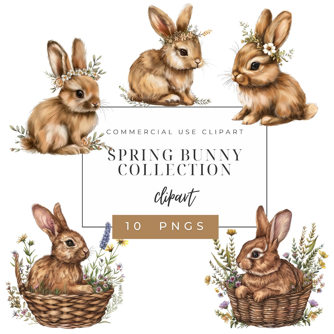 Spring Bunny Watercolor Clipart, Instant Download, Commercial Use, PNG ...
