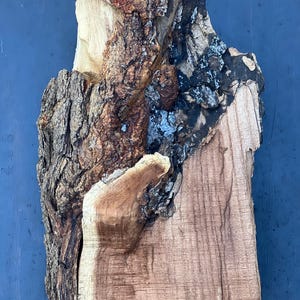 Forest Tree Branch Shelf Decor | Nature Wood Cottagecore | Woodland ...