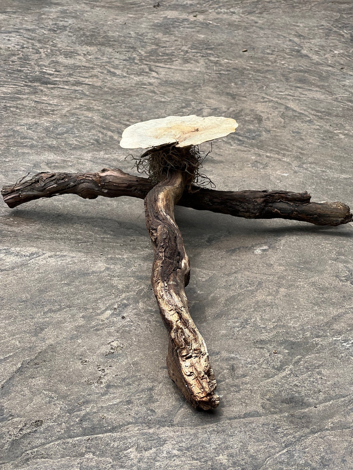 Grapevine Branch and Mushroom Cross Religious Nature Inspired Home ...