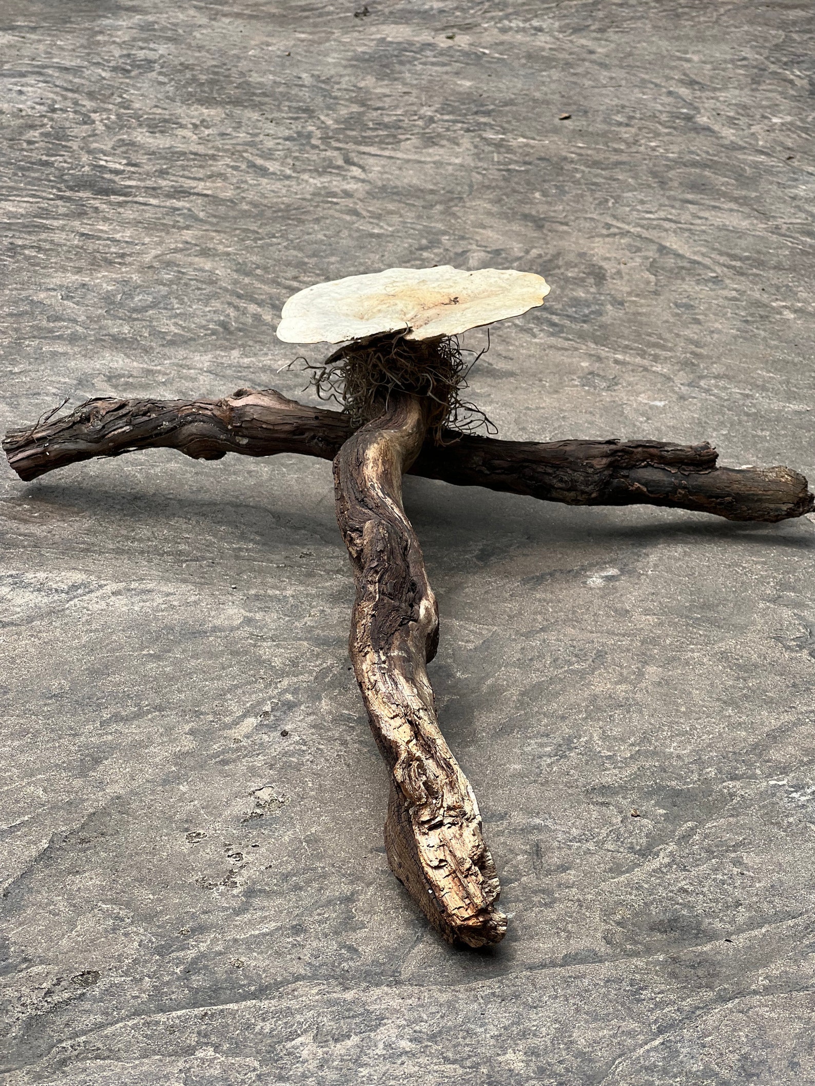 Grapevine Branch and Mushroom Cross | Religious Nature Baptism Home ...