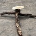 Grapevine Branch and Mushroom Cross Religious Nature Inspired Home ...