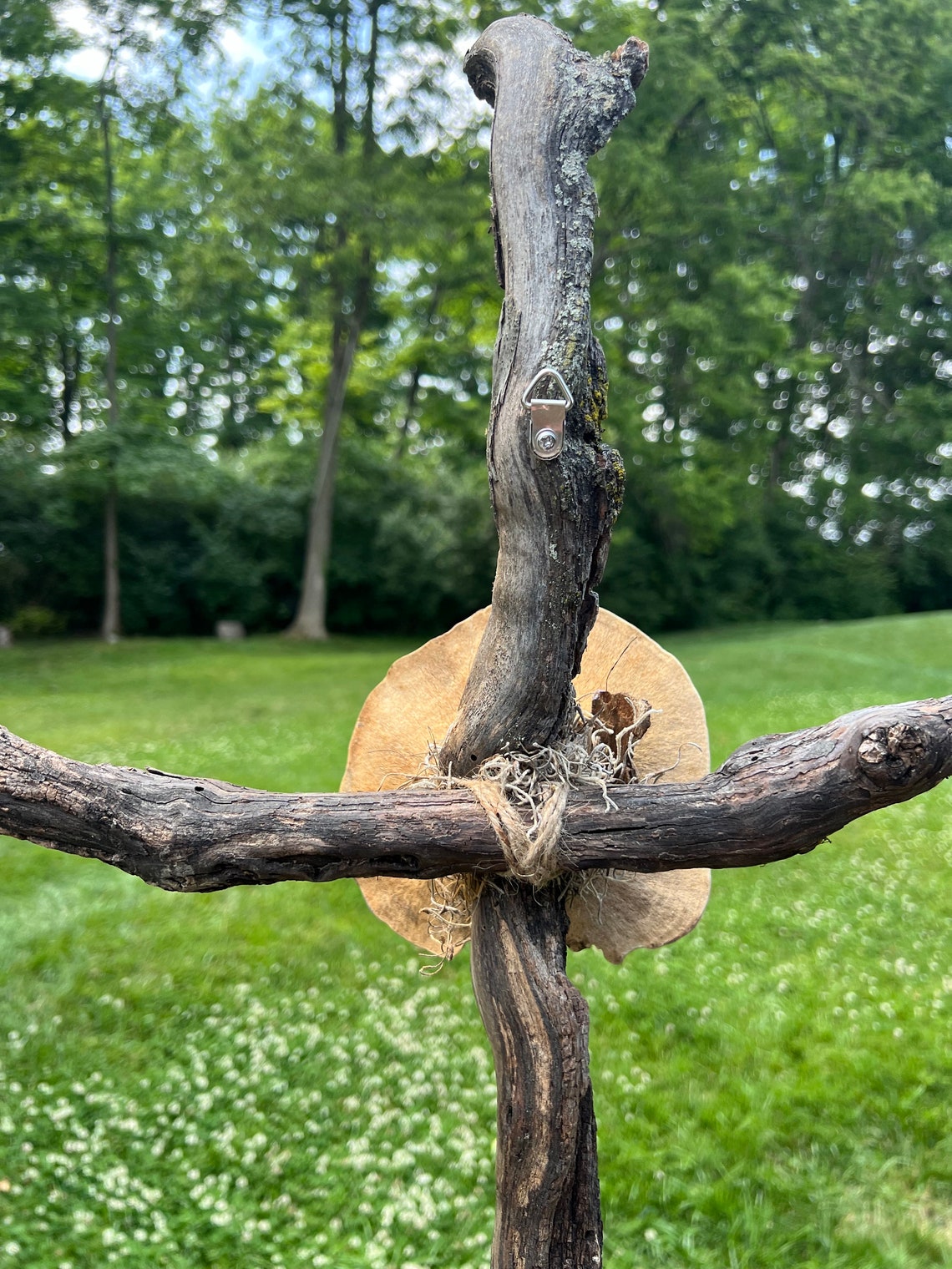 Grapevine Branch and Mushroom Cross Religious Nature Inspired Home ...