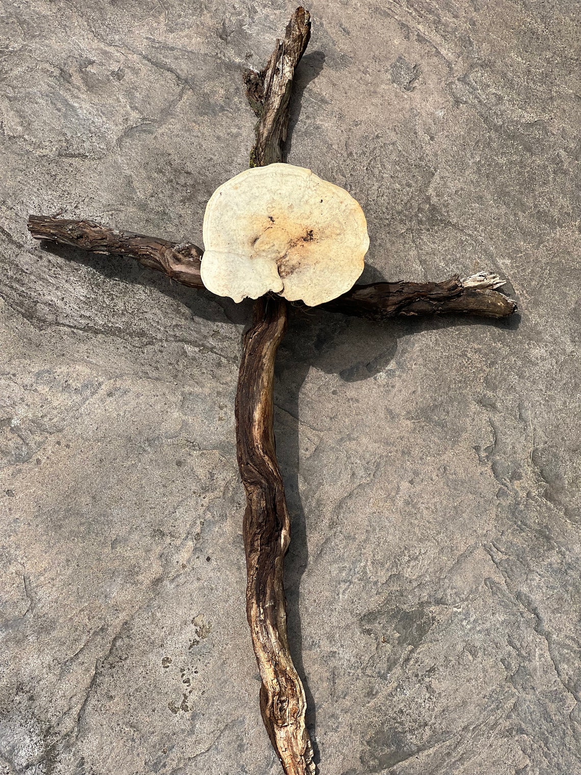 Grapevine Branch and Mushroom Cross Religious Nature Inspired Home ...