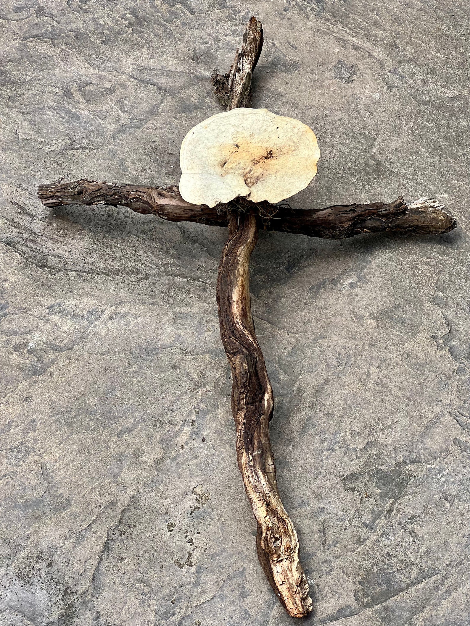 Grapevine Branch and Mushroom Cross | Religious Nature Baptism Home ...