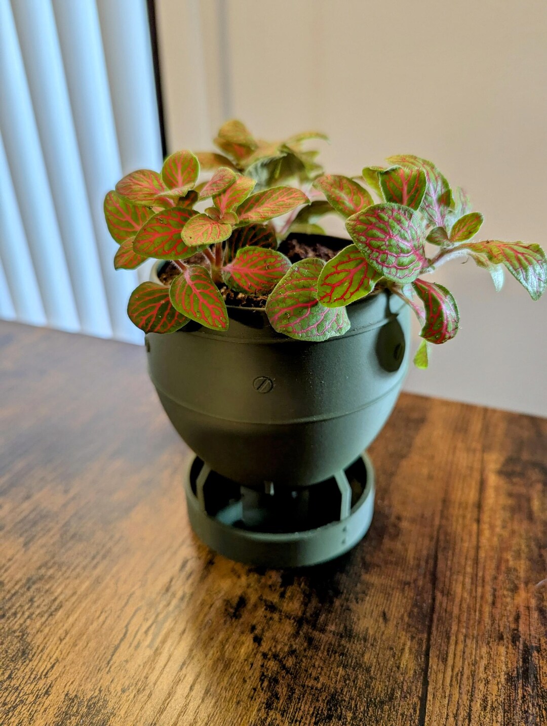 Fallout-inspired 3D Printed Mini Nuke Flower Pot - Etsy