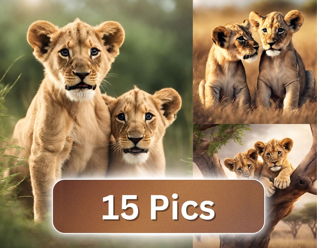 Lion Clipart Animal Cubs Clipart Lion Cubs Images Clipart-bundle 15 ...