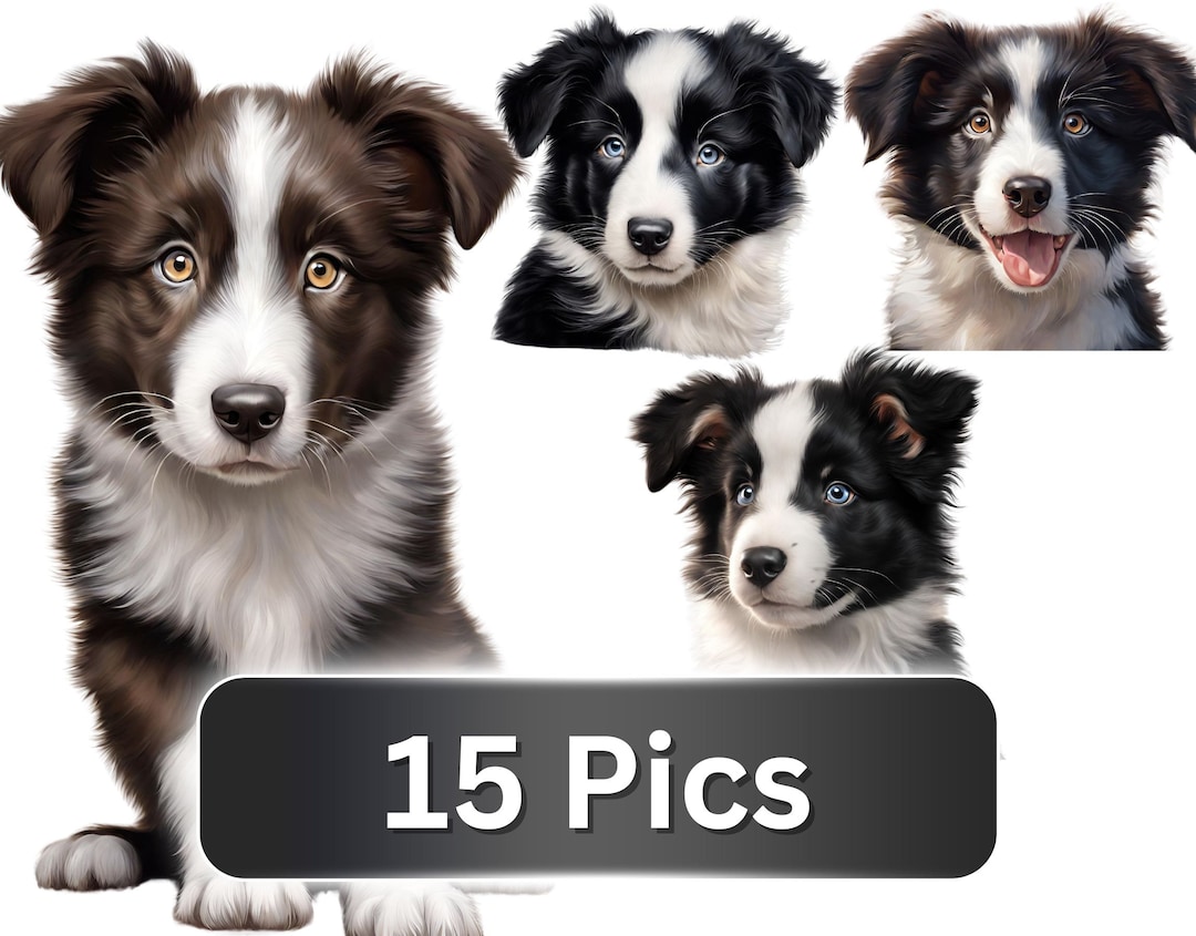 Border Collie Clipart Dogs Clipart Border Collie Images Clipart-bundle ...